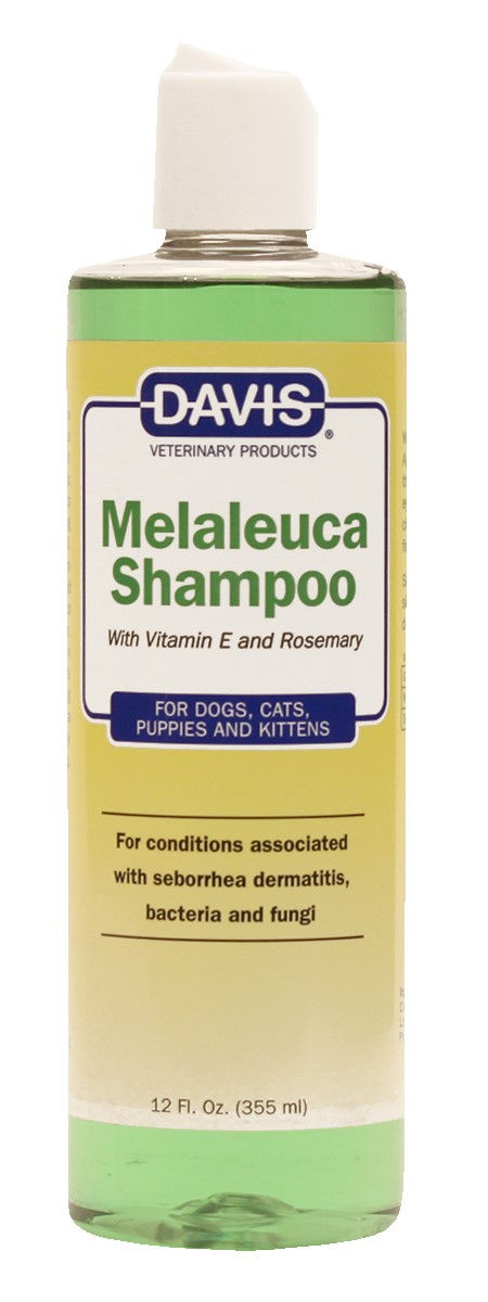 Melaleuca Shampoo, 12 oz